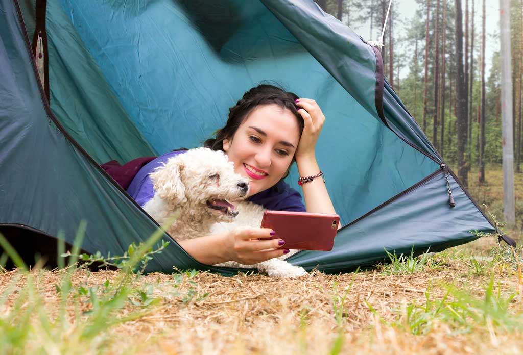 7 Fun & Safe Outdoor Activities To Do With Your Pet | ZooFania
